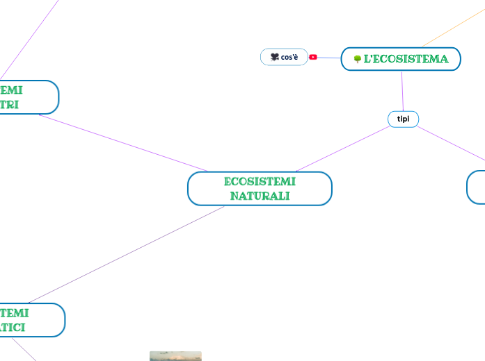 L'ECOSISTEMA - Mind Map
